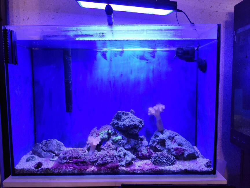 Морской аквариум