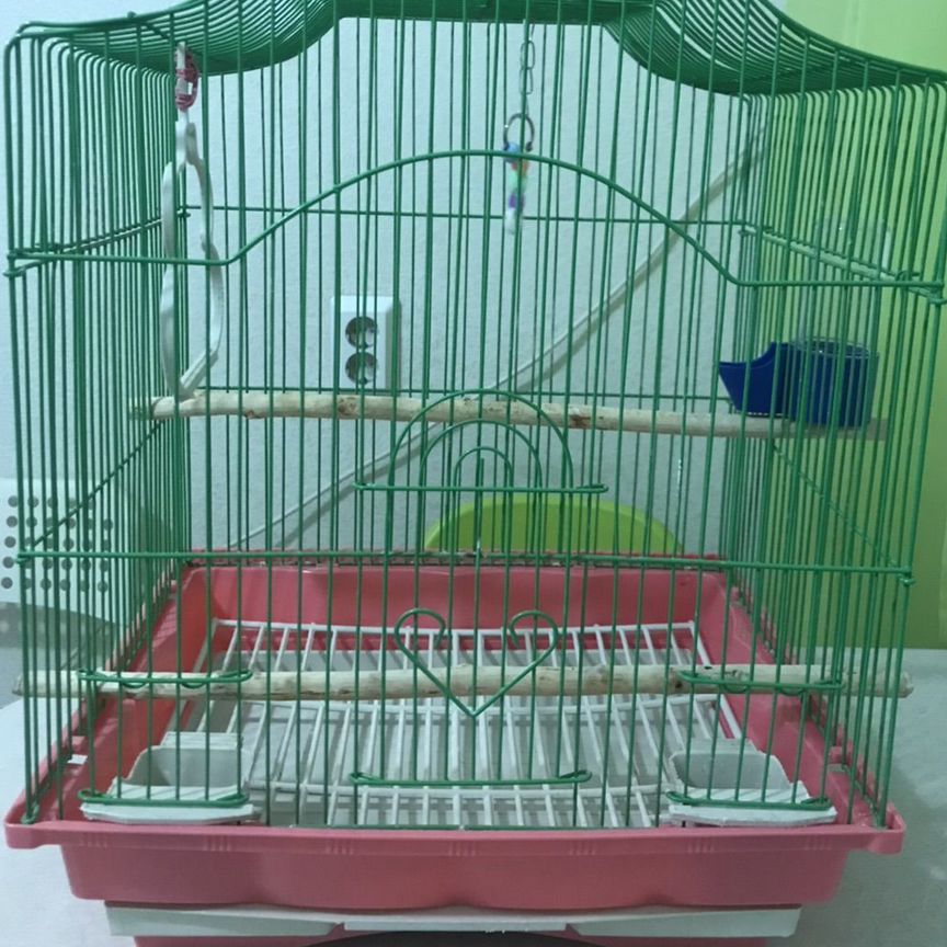 Клетка для попугая бу