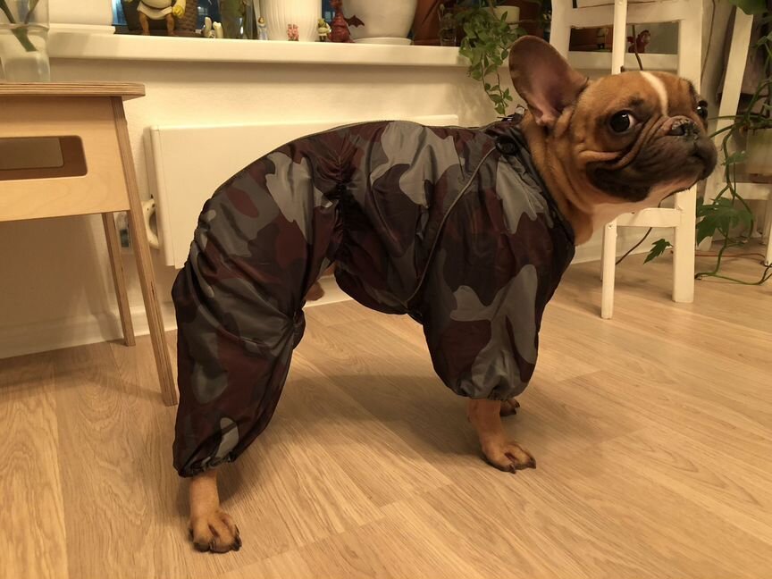 Утеплённый комбинезон для собак средних пород