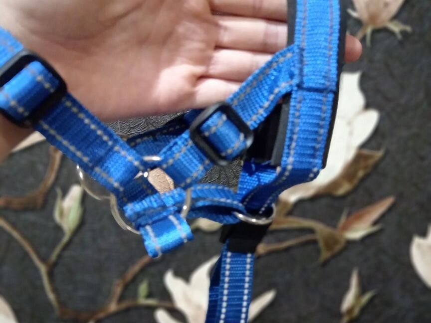 Халти для собак