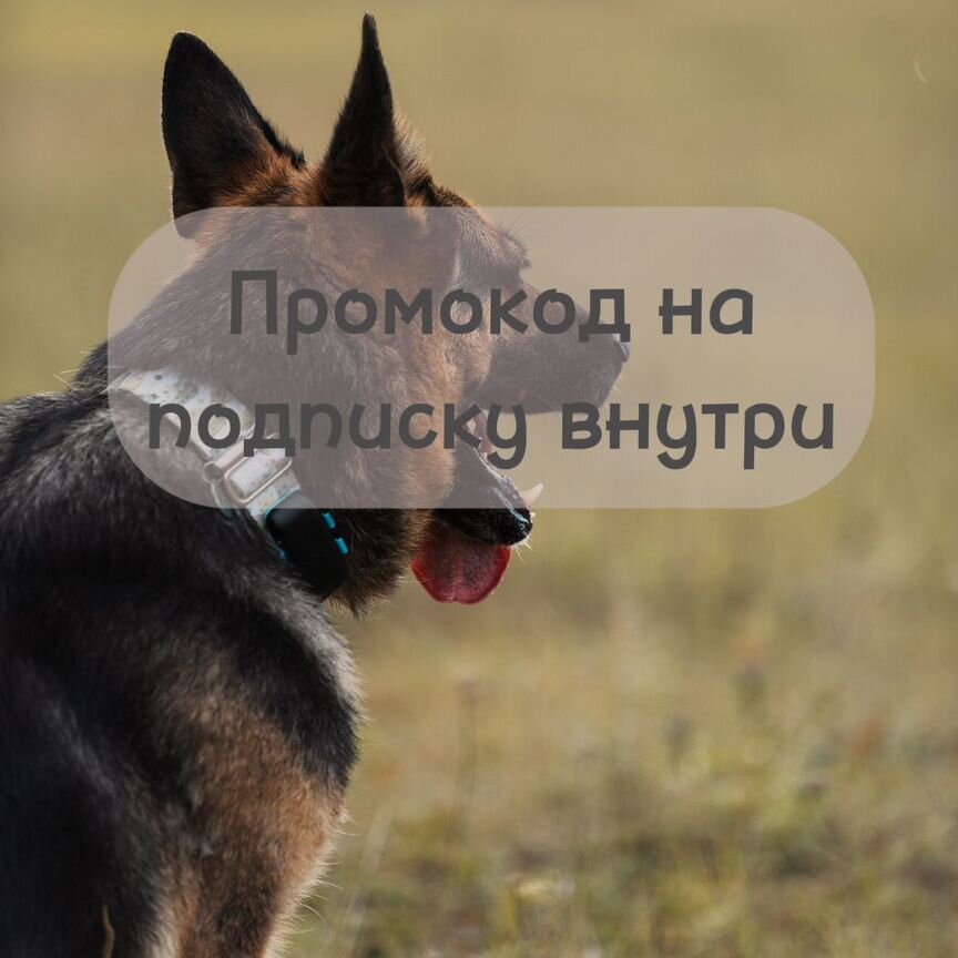 Gps трекер