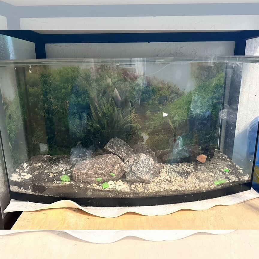 Аквариум 100 л бронь