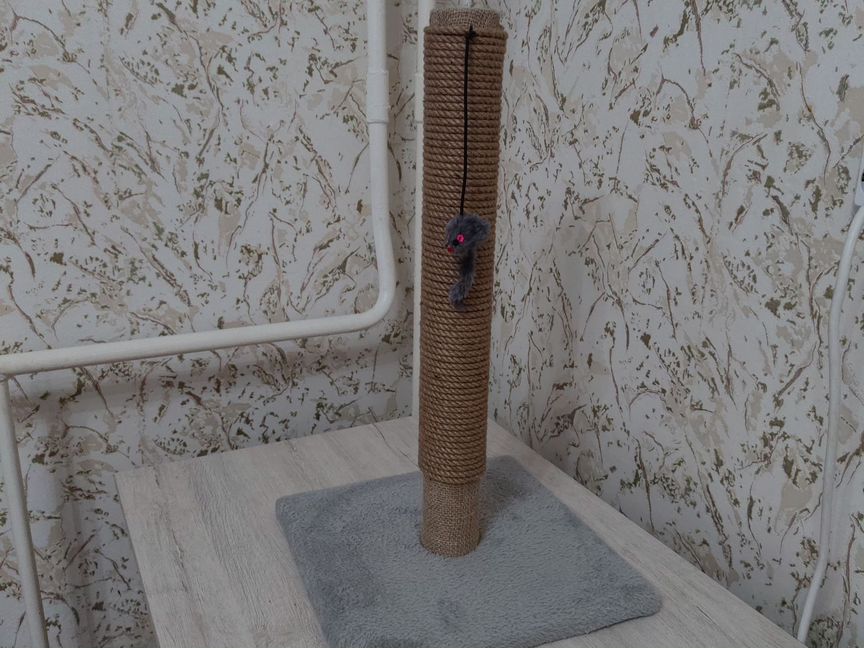 Когтеточка новая