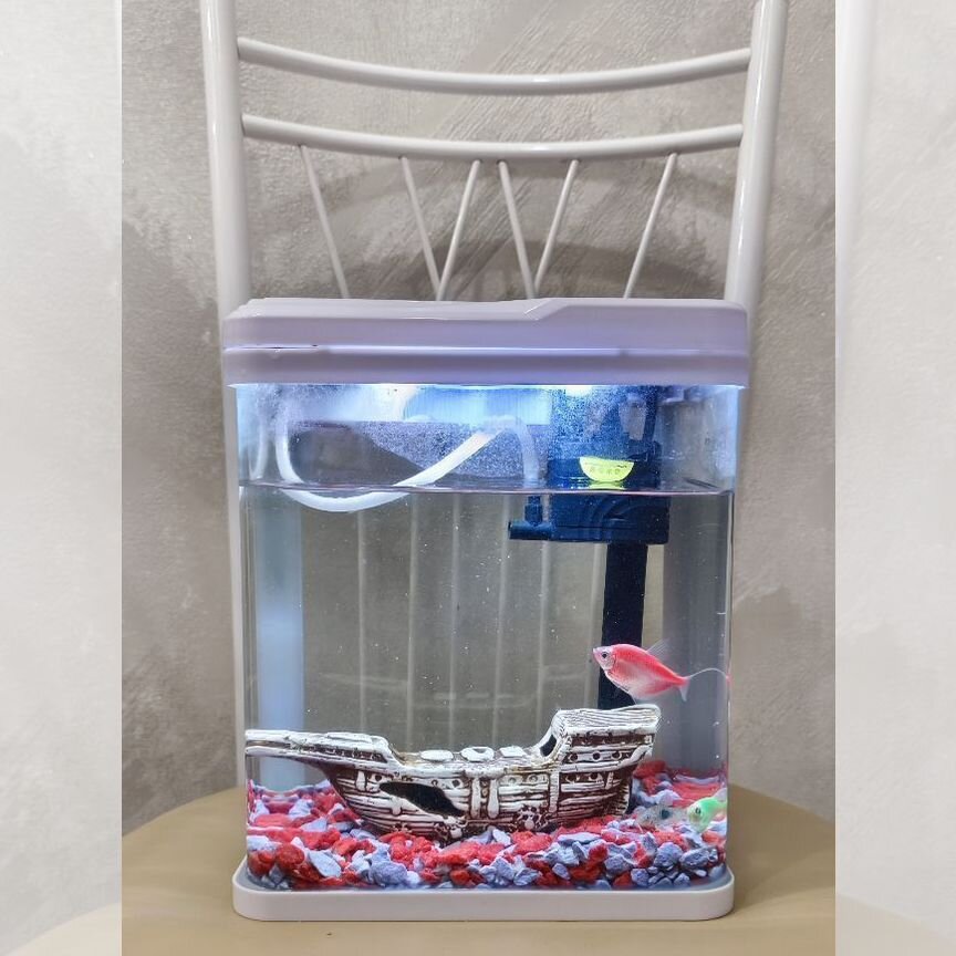 Аквариум с рыбками
