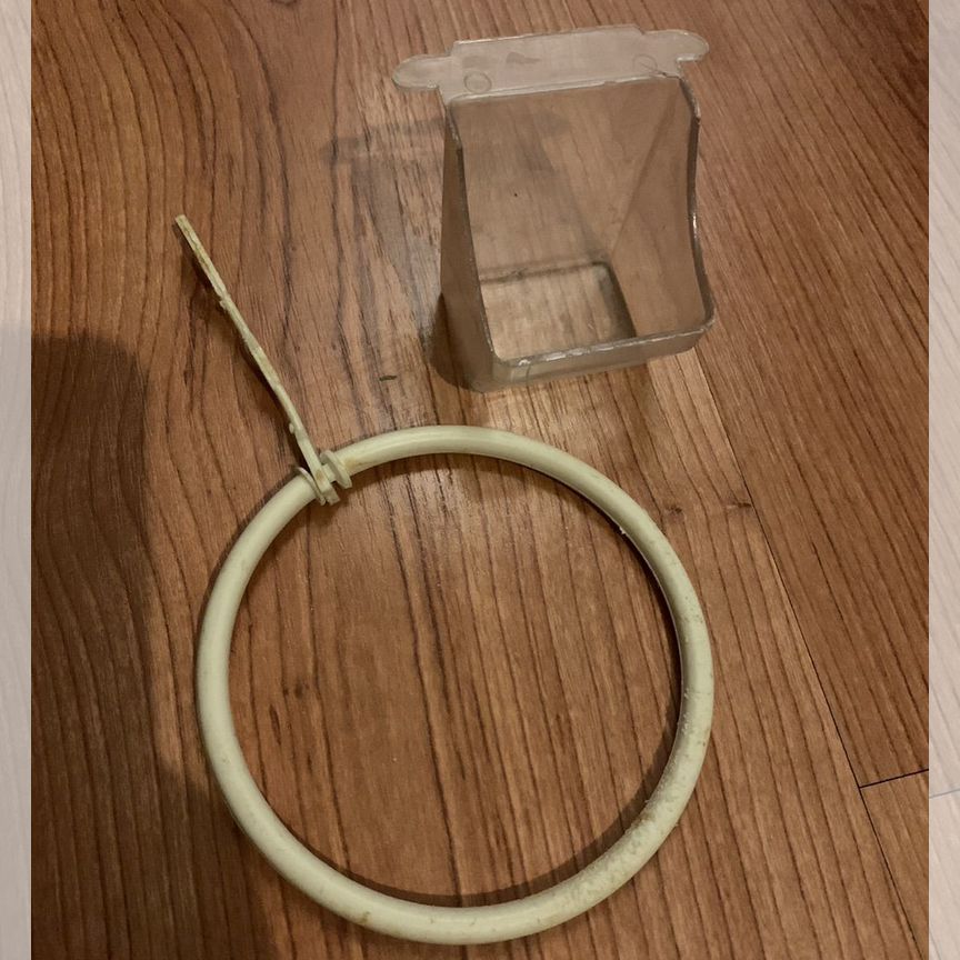 Кольцо для попугая