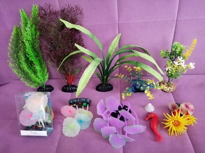 Растения, декор, насос ручной