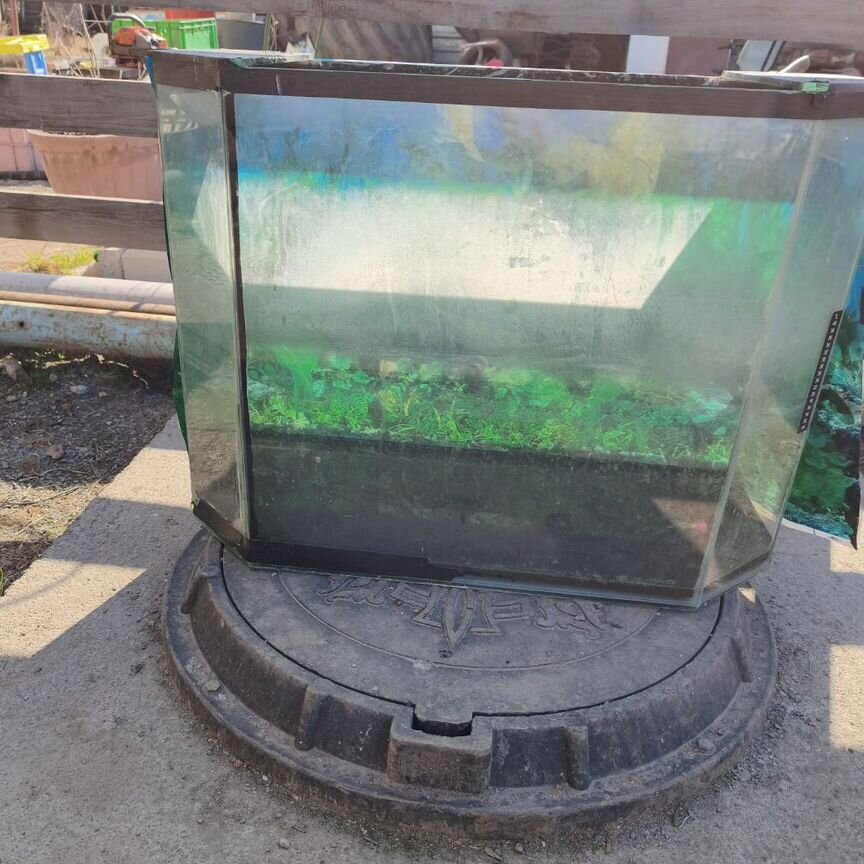 Аквариум под террариум