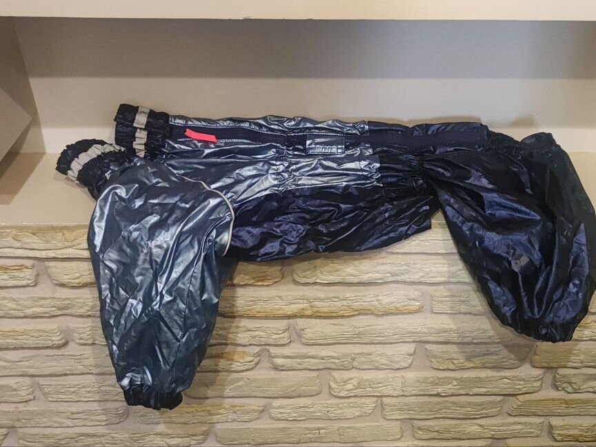 Дождевик для собаки