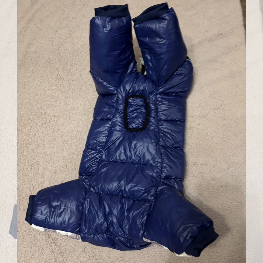 Одежда для маленьких собак зима