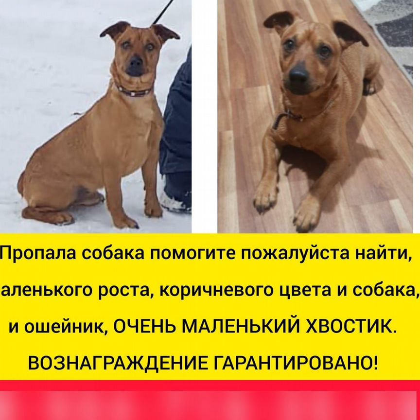 Помогите найти Друга