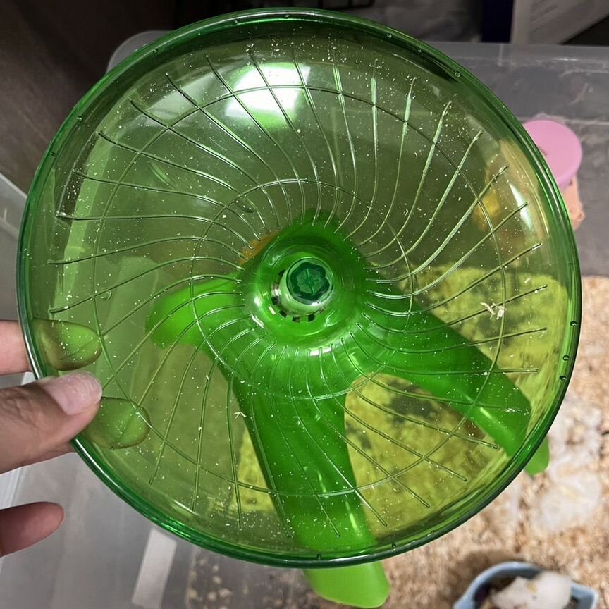 Колесо для хомяка зеленый