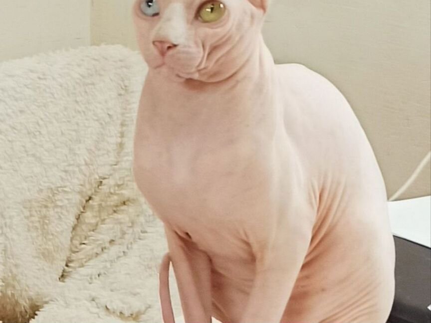 Вязка