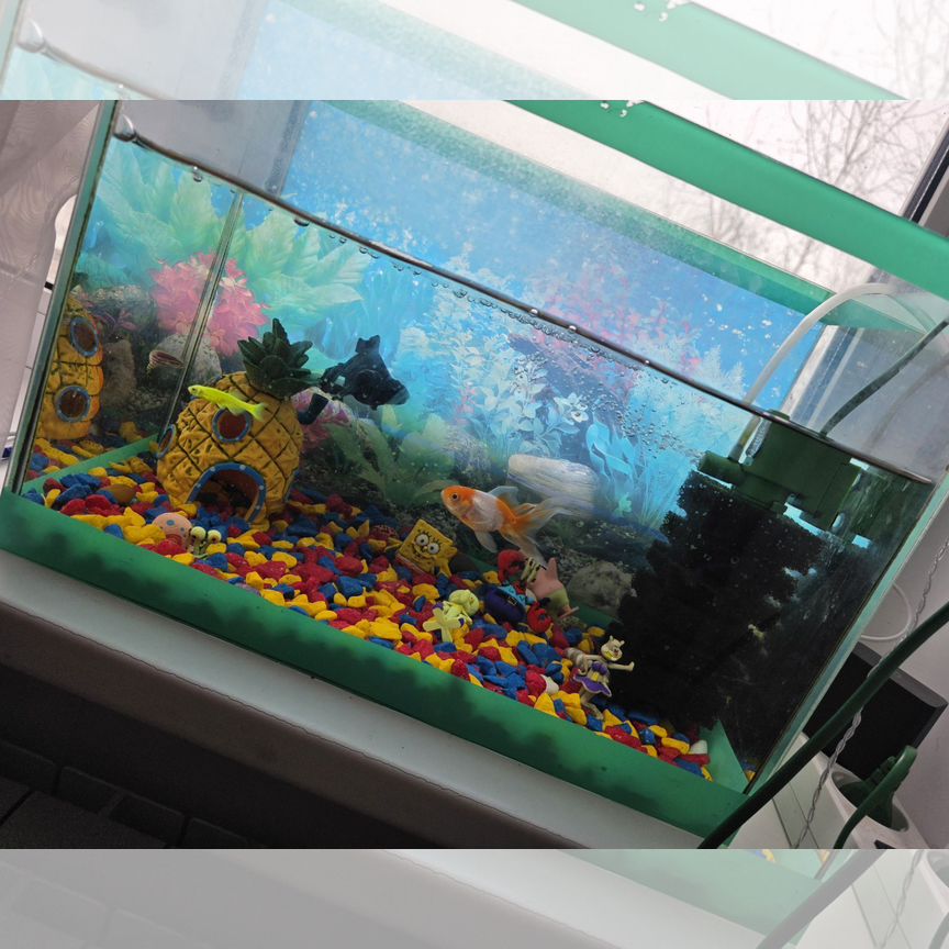 Рыбки  декорация