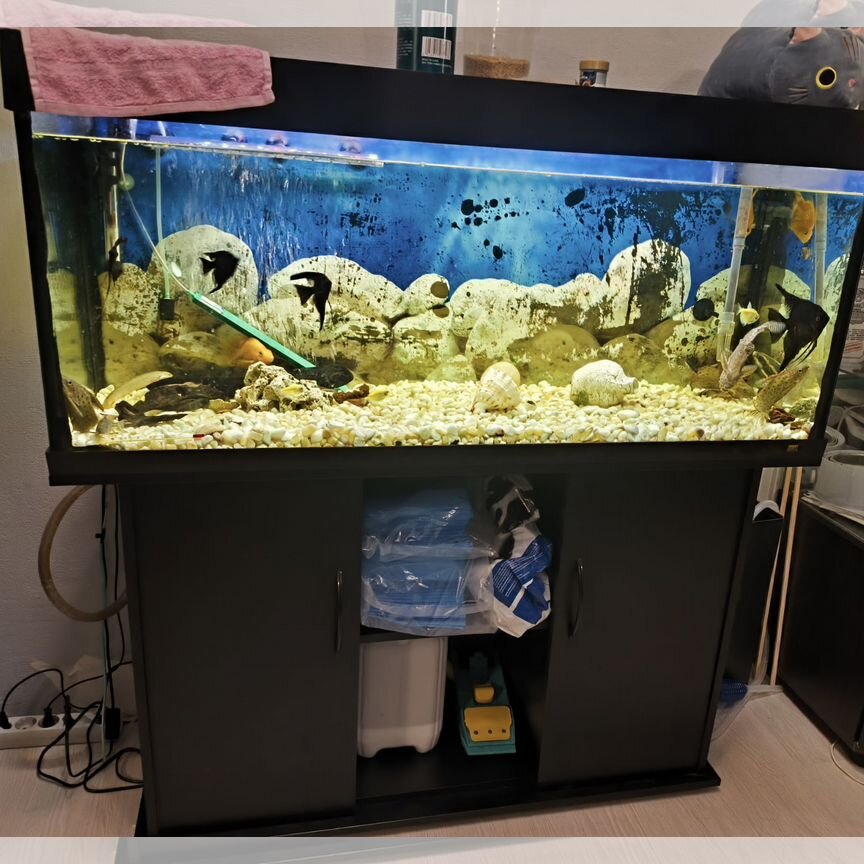 Аквариум 240л с рыбками