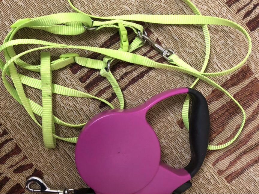 Поводок для кошек и собак