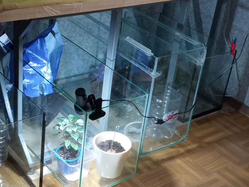 Аквариум террариум