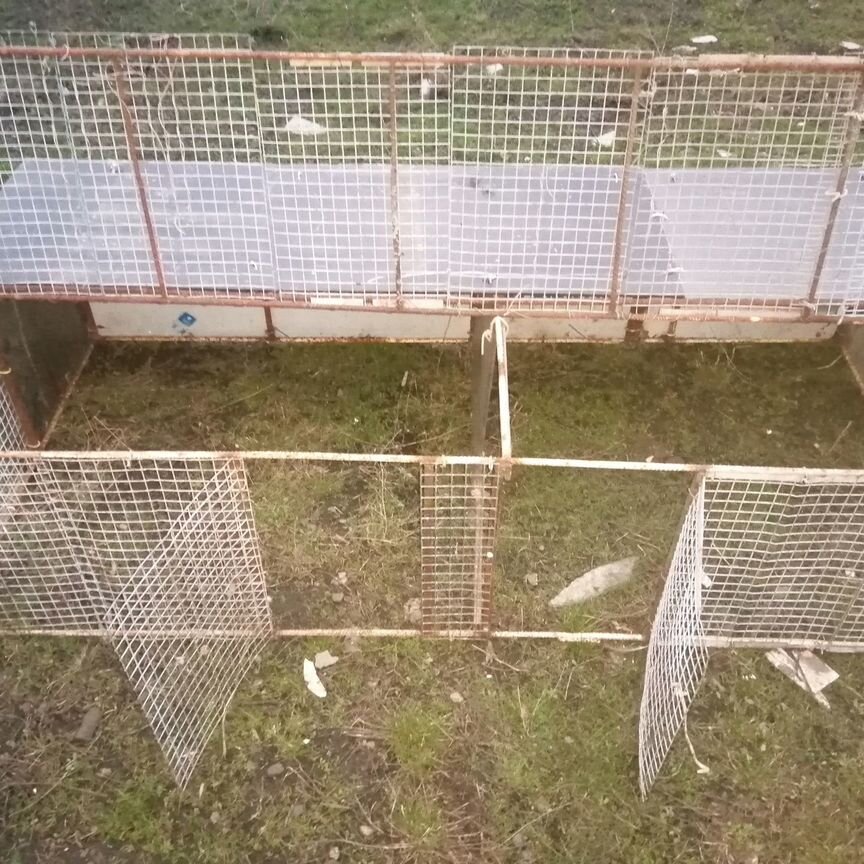Клетка для цыплят