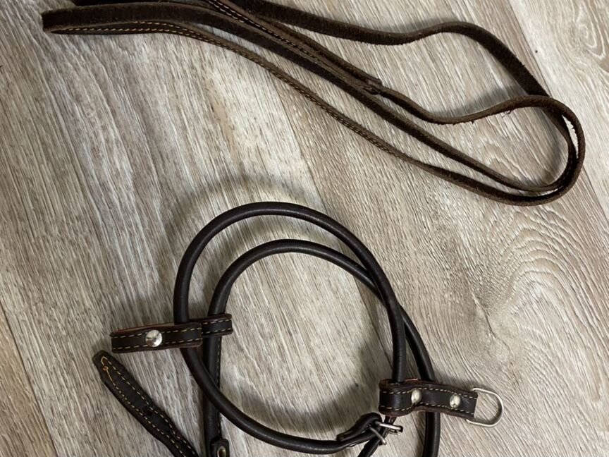 Поводок и шлейка с круглым сечением кожа