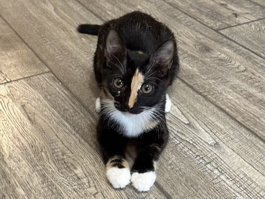 Зефирка 5 месяцев