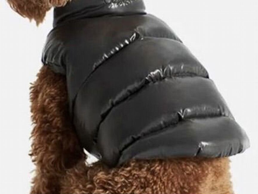 Жилет для собаки cute&cool графит
