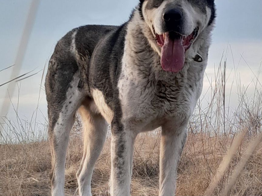 Кабель на вязку