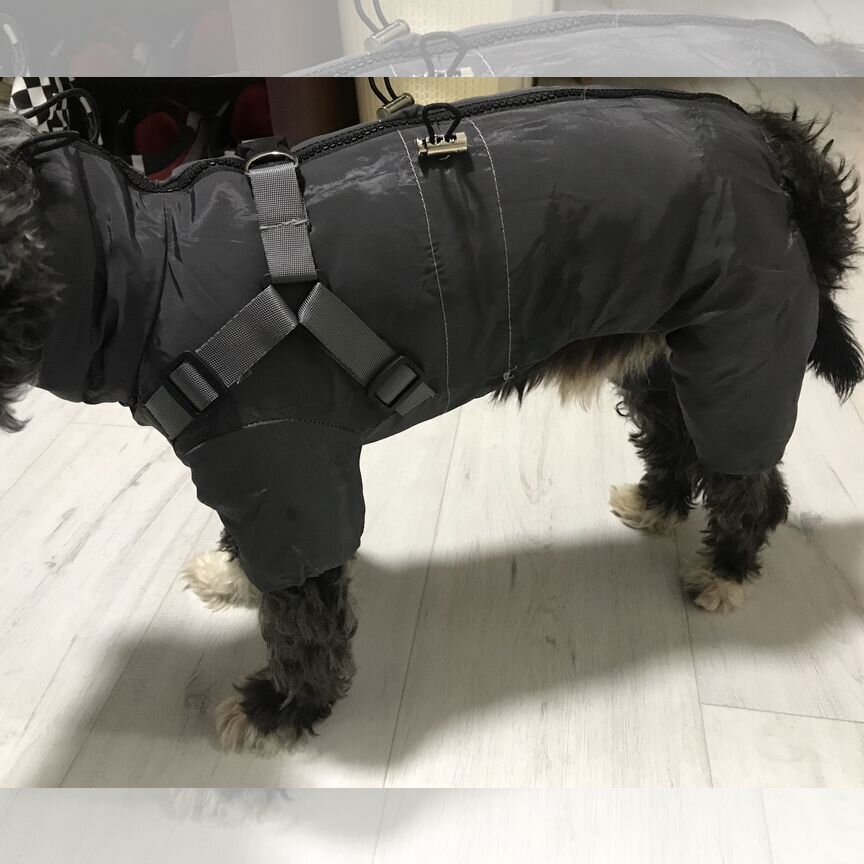 Комбинезон зимний для собак мелких пород «М»