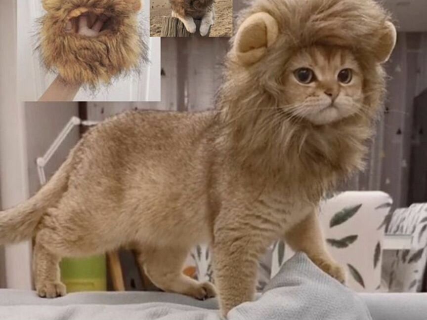 Парик для кота/ кошки