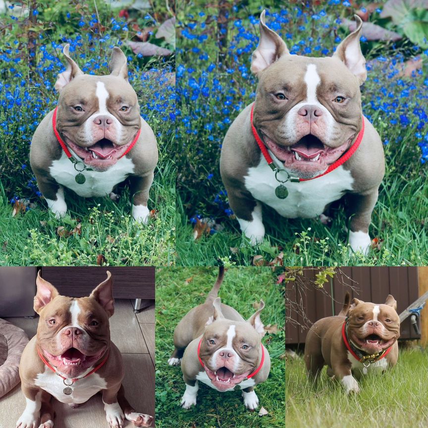 Мини булочка