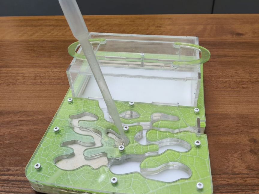 Формикарий для муравьев