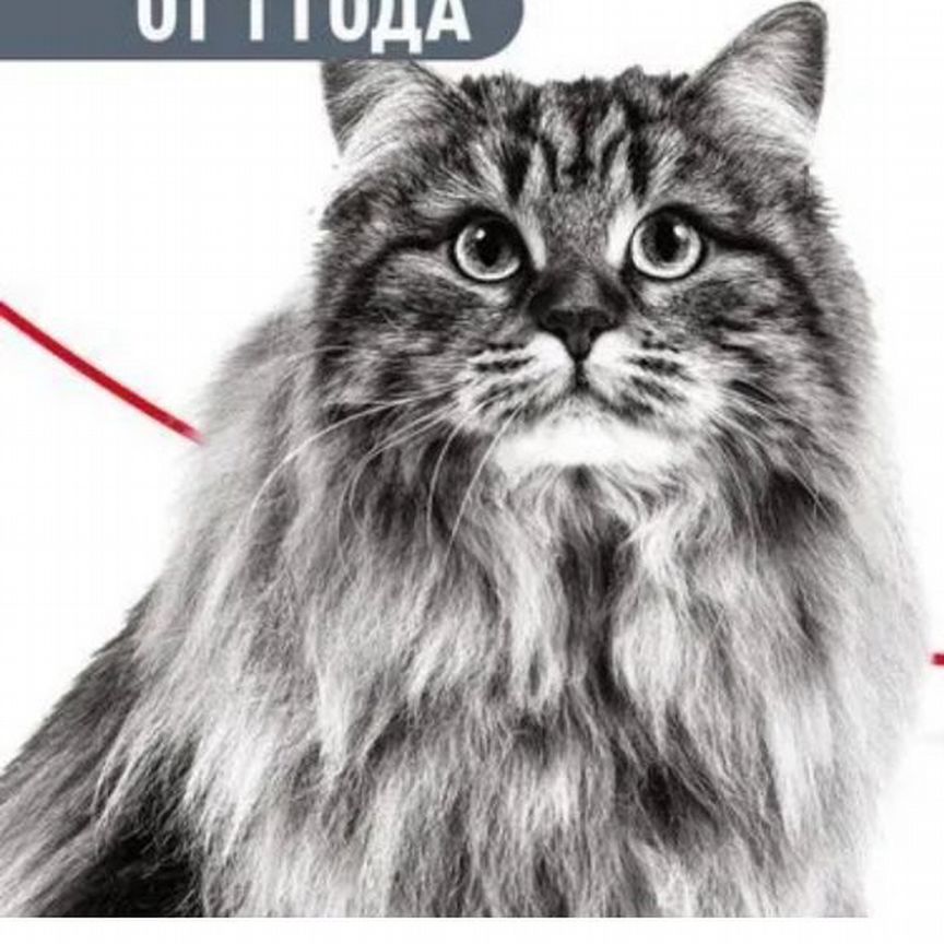 Влажный корм для кошек Royal Canin Hair&Skin 28шт
