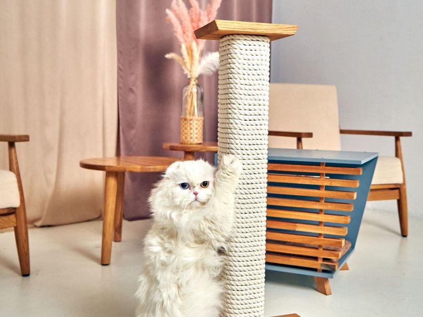 Когтеточка для Кошек