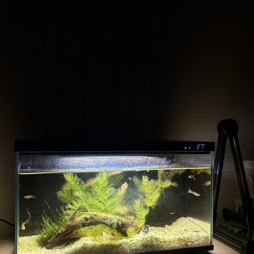Умный аквариум xiaomi 20 литров с Гуппи