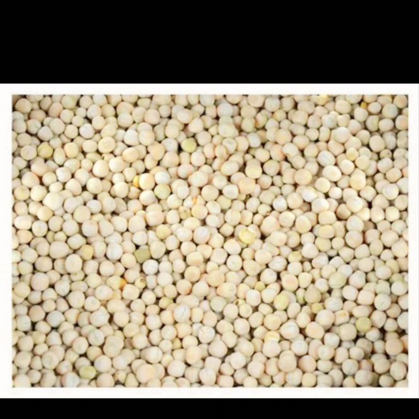 Горох кормовой