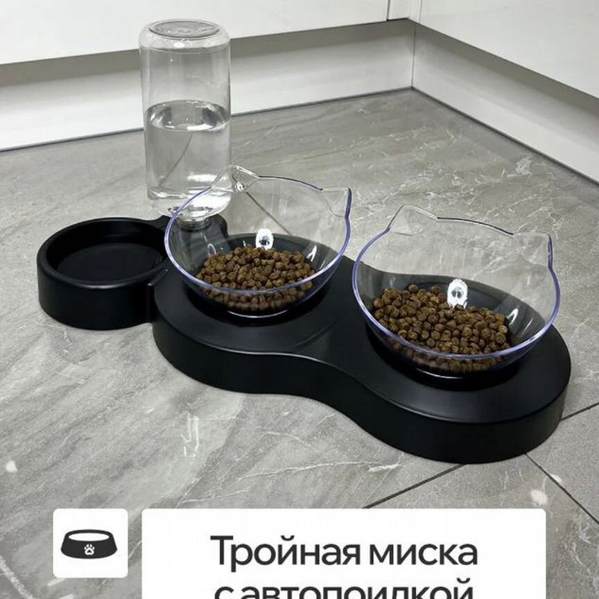 Отдам котиков в хорошие заботливые ручки