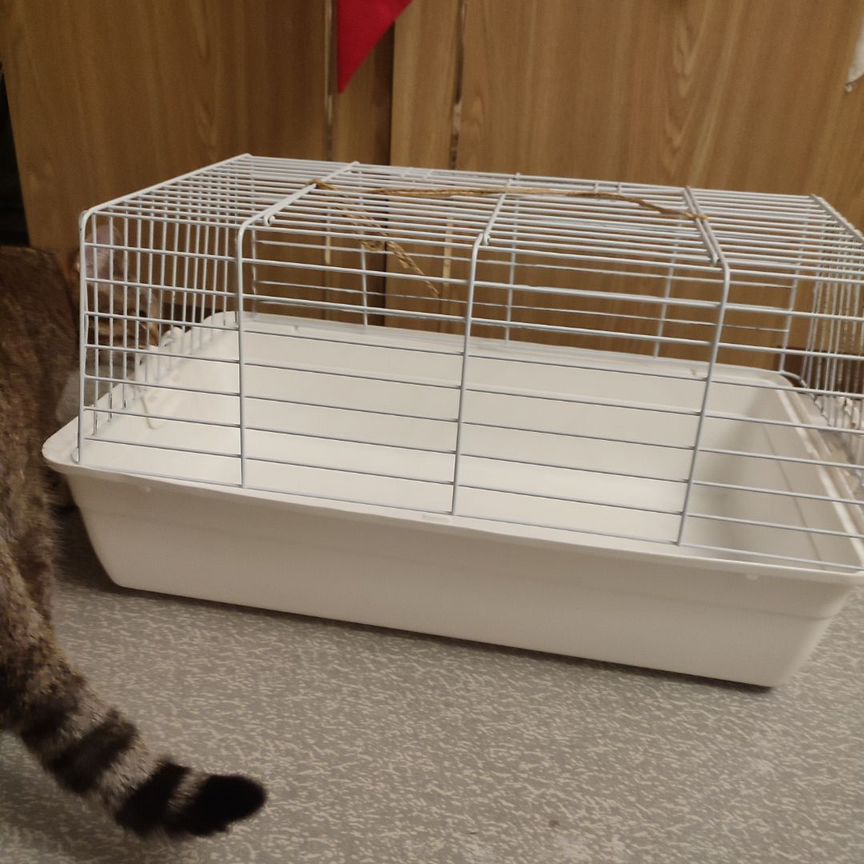 Клетка для грызунов большая