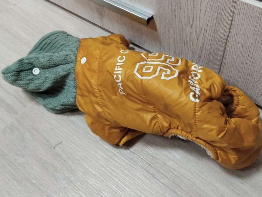 Собачья куртка