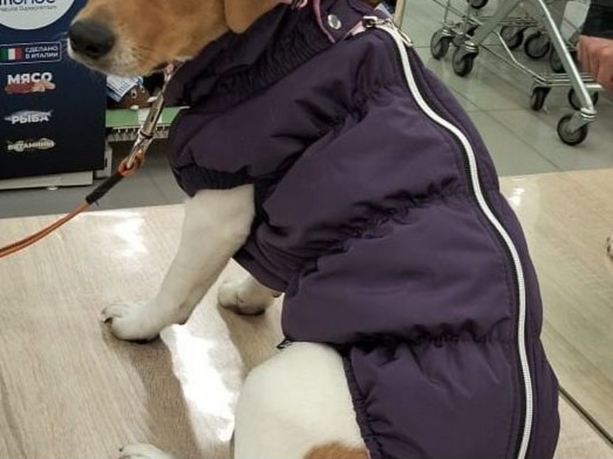 Жилет утепленный с закрытым животом на суку