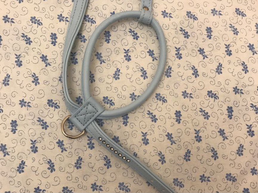 Шлейка для щенка, мини собак