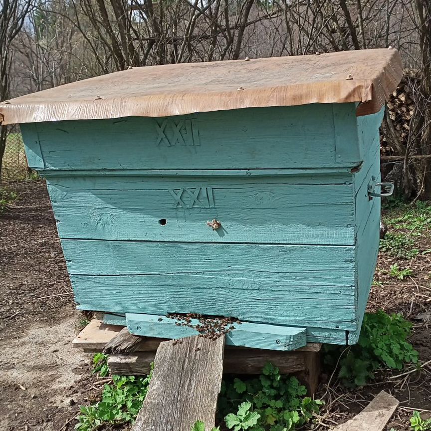 Улей с пчелиной семьёй