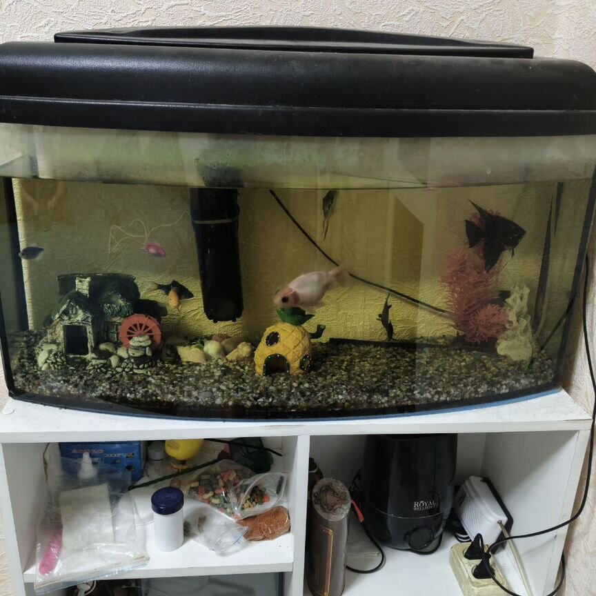 Аквариум с рыбками