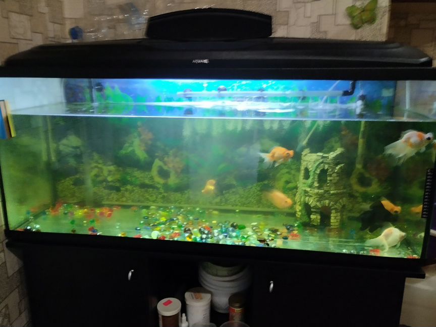 Аквариум с тумбой