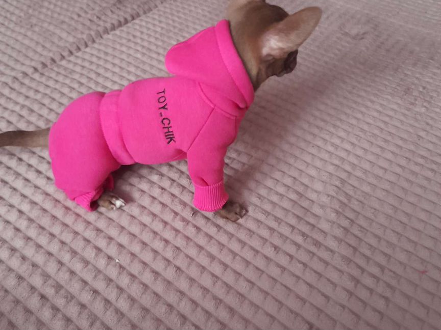 Флисовый комбинезон для собаки