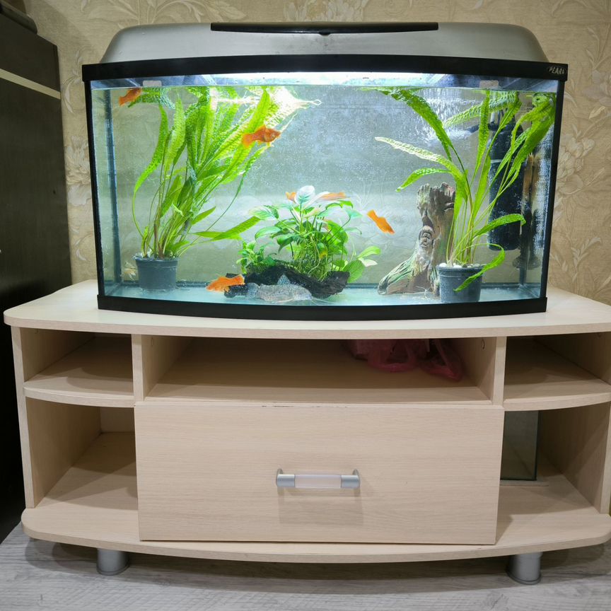 Аквариум Aquael с тумбой