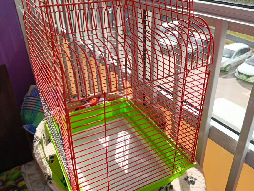 Клетка