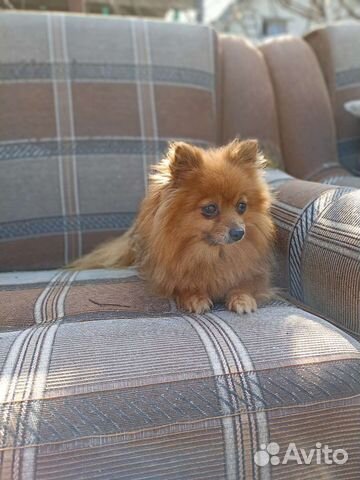 Девочка Мальвина