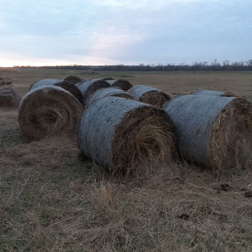 Продам сено в рулонах