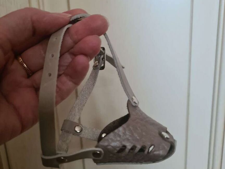 Намордник (продан), ошейник