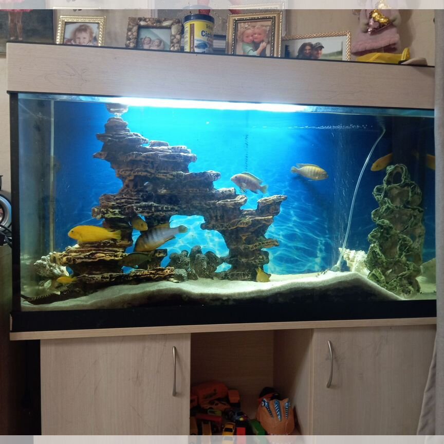 Аквариум с тумбой 200л. С фильтром