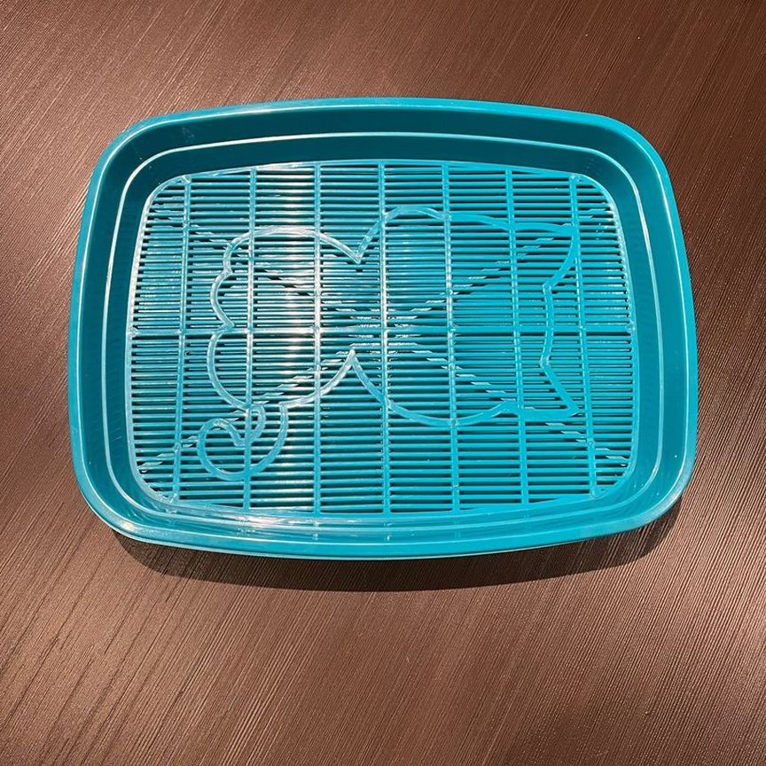 Лоток для котят