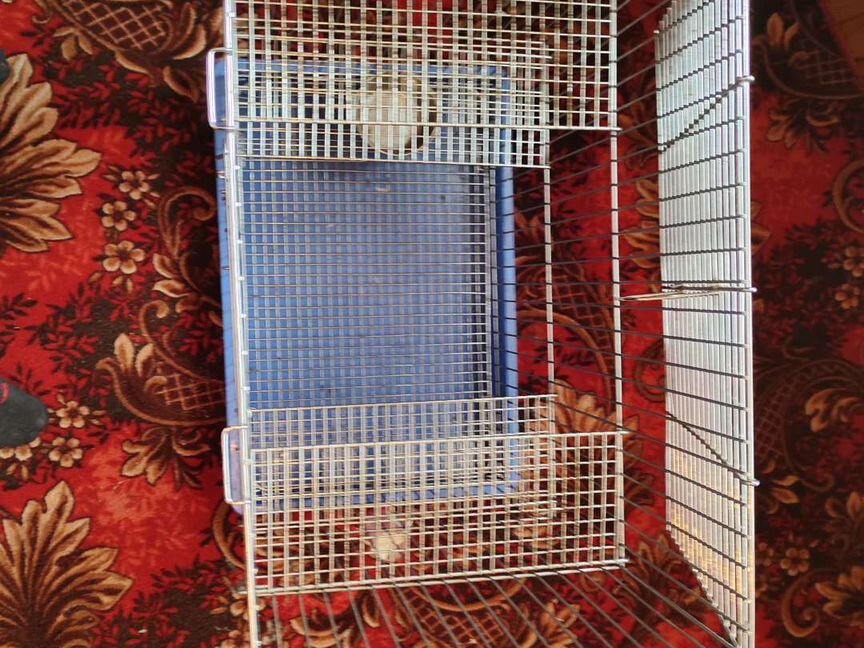 Клетка для грызунов